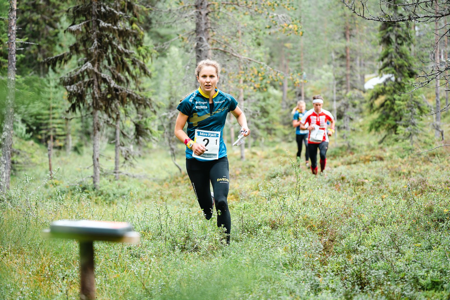 Sweden to host World Cup Round in 2027 | International Orienteering ...