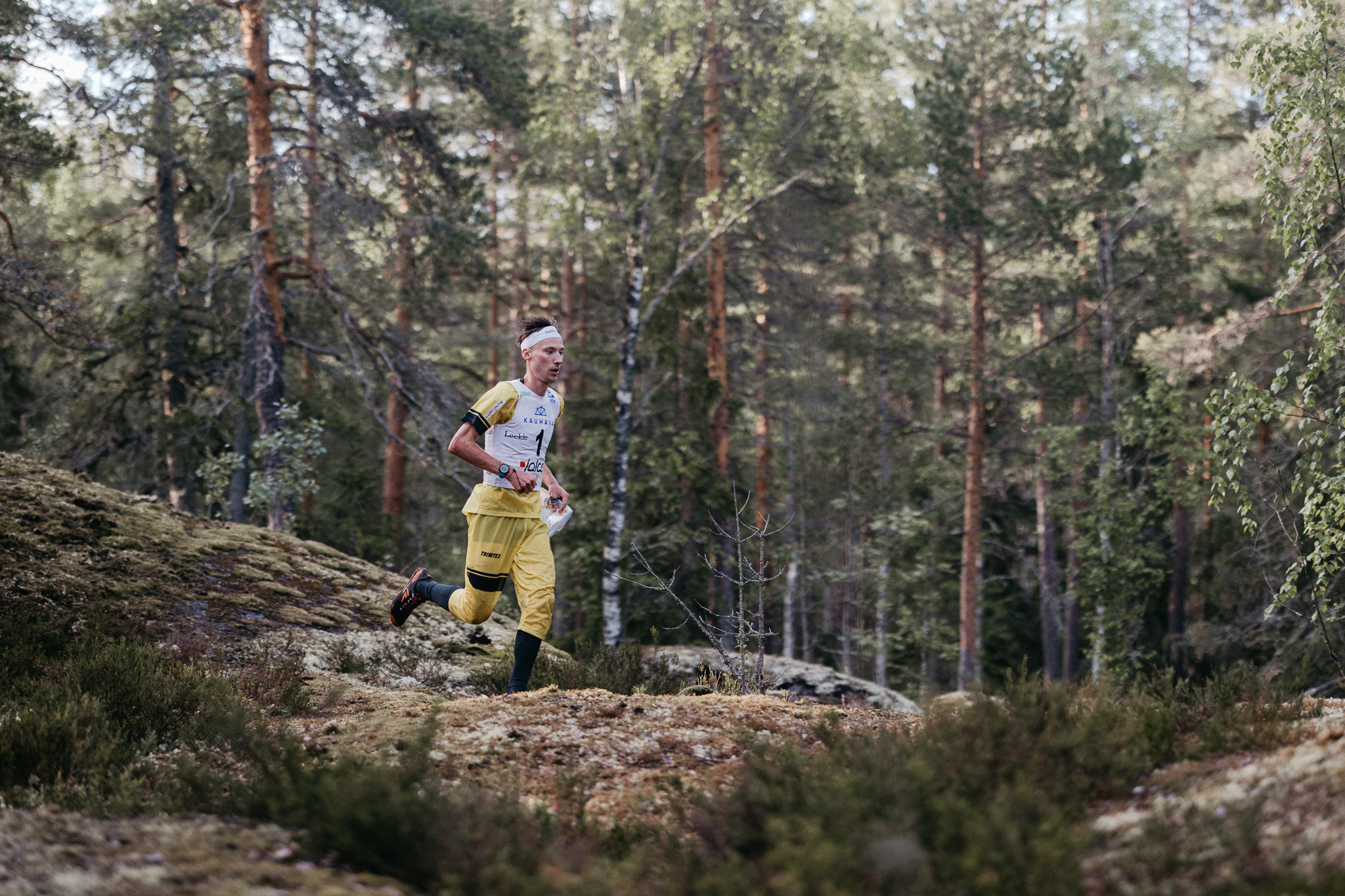 Follow the Jukola relays on IOF TV this weekend | International ...
