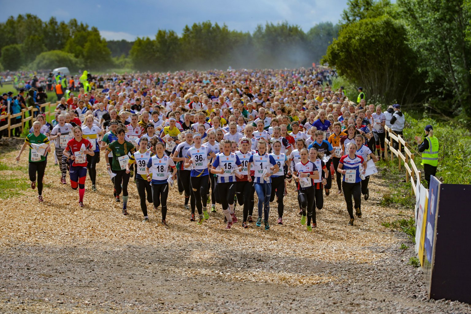 IOF TV commentators pick their favourites for Jukola | International ...